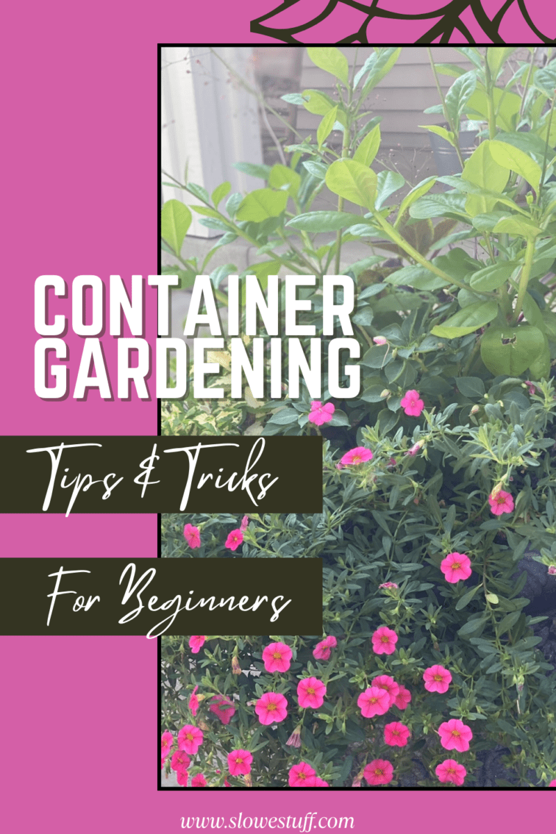 Container Gardening Tips - 4 Must Have Products to Make Your Container ...