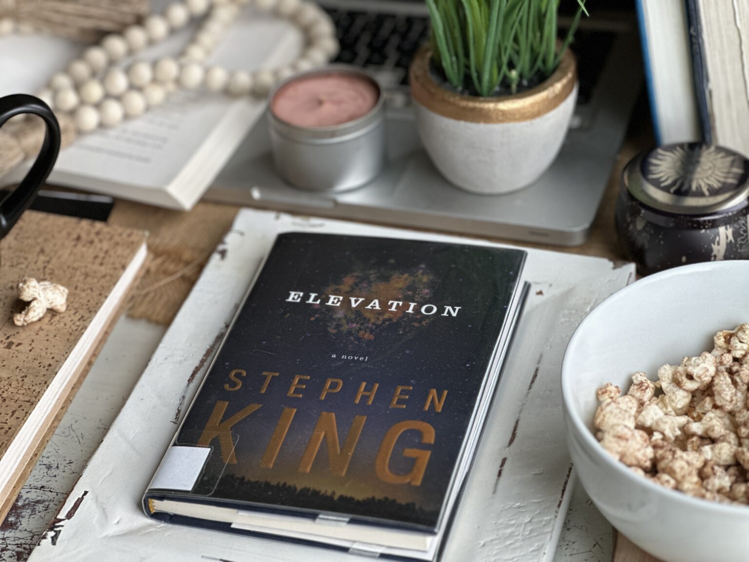 Stephen King Elevation - The Slowestuff Blog