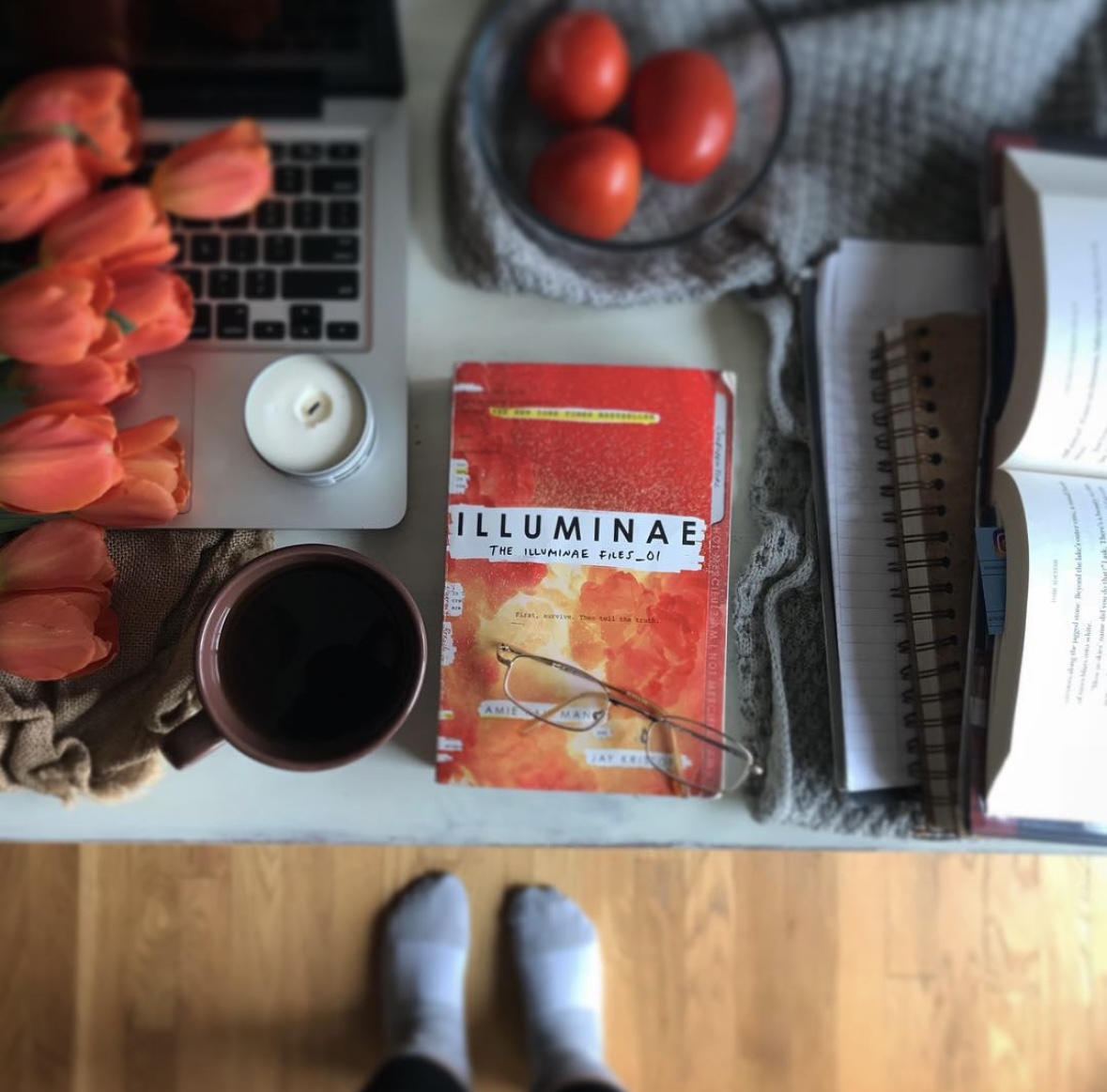 The Poet X Review - poetry novel by Elizabeth Acevedo - The Slowestuff Blog