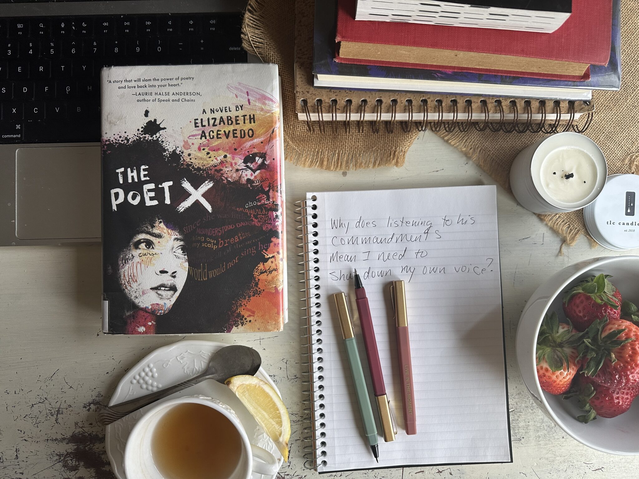 The Poet X Review - poetry novel by Elizabeth Acevedo - The Slowestuff Blog