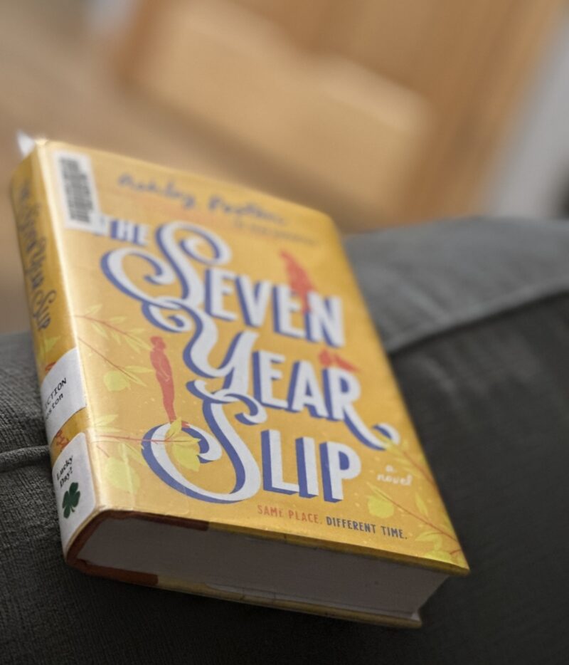 The Seven Year Slip Book Review - A Great Beach Read - The Slowestuff Blog