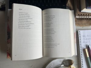 The Poet X Review - poetry novel by Elizabeth Acevedo - The Slowestuff Blog