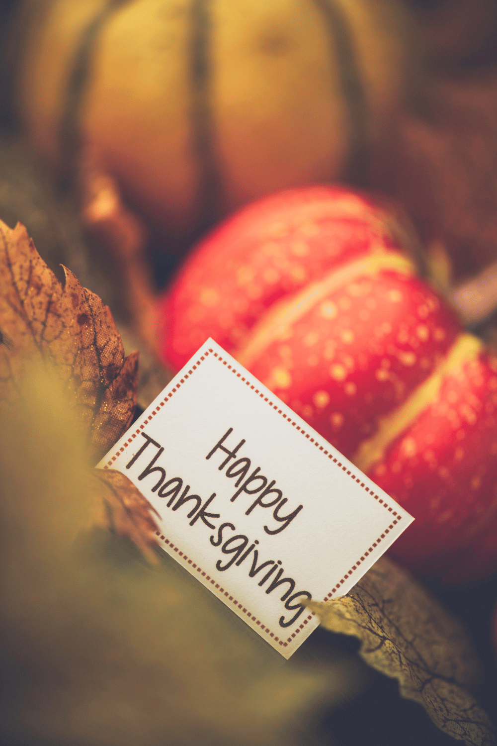 Funny & Naughty Thanksgiving Quotes to Spice Things Up - The Slowestuff ...