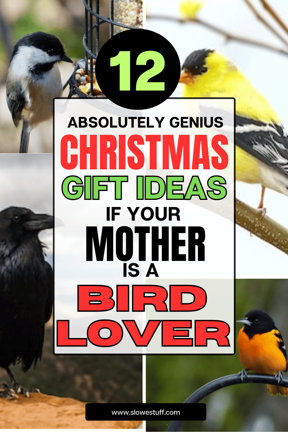 Gift Ideas: 12 Perfect Christmas Bird Gifts for Mom - The Slowestuff Blog