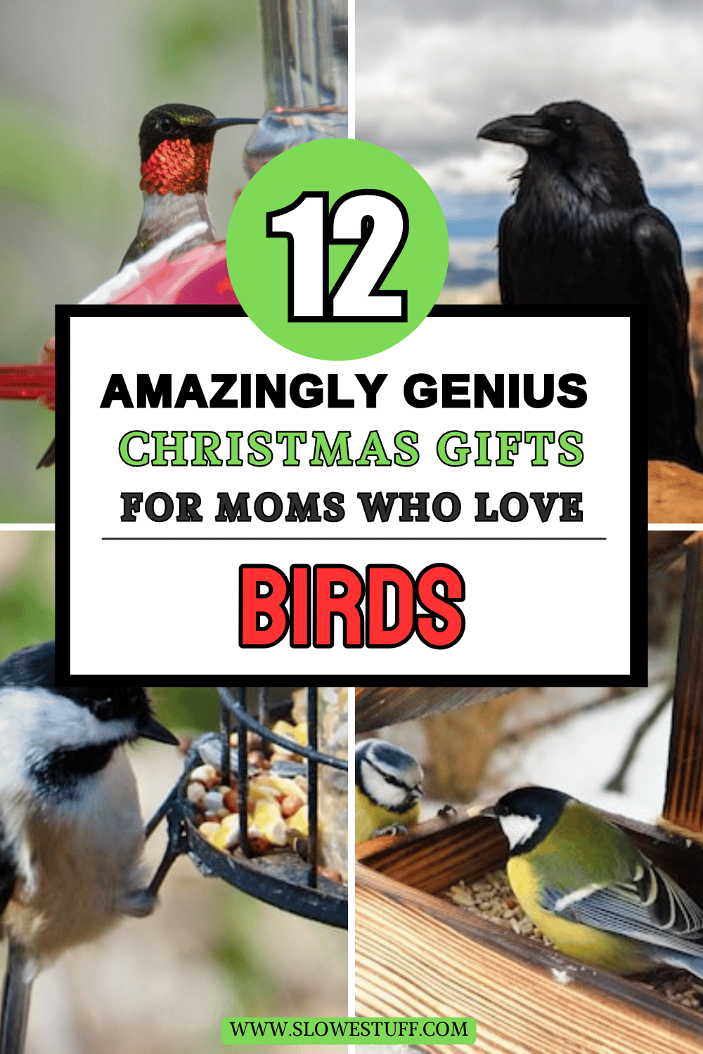 Gift Ideas: 12 Perfect Christmas Bird Gifts for Mom - The Slowestuff Blog