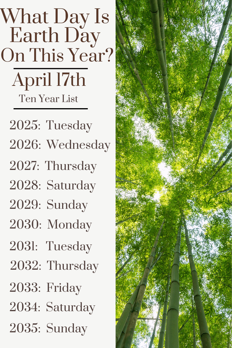 How Earth Day Can Be Celebrated In Every Season - The Slowestuff Blog