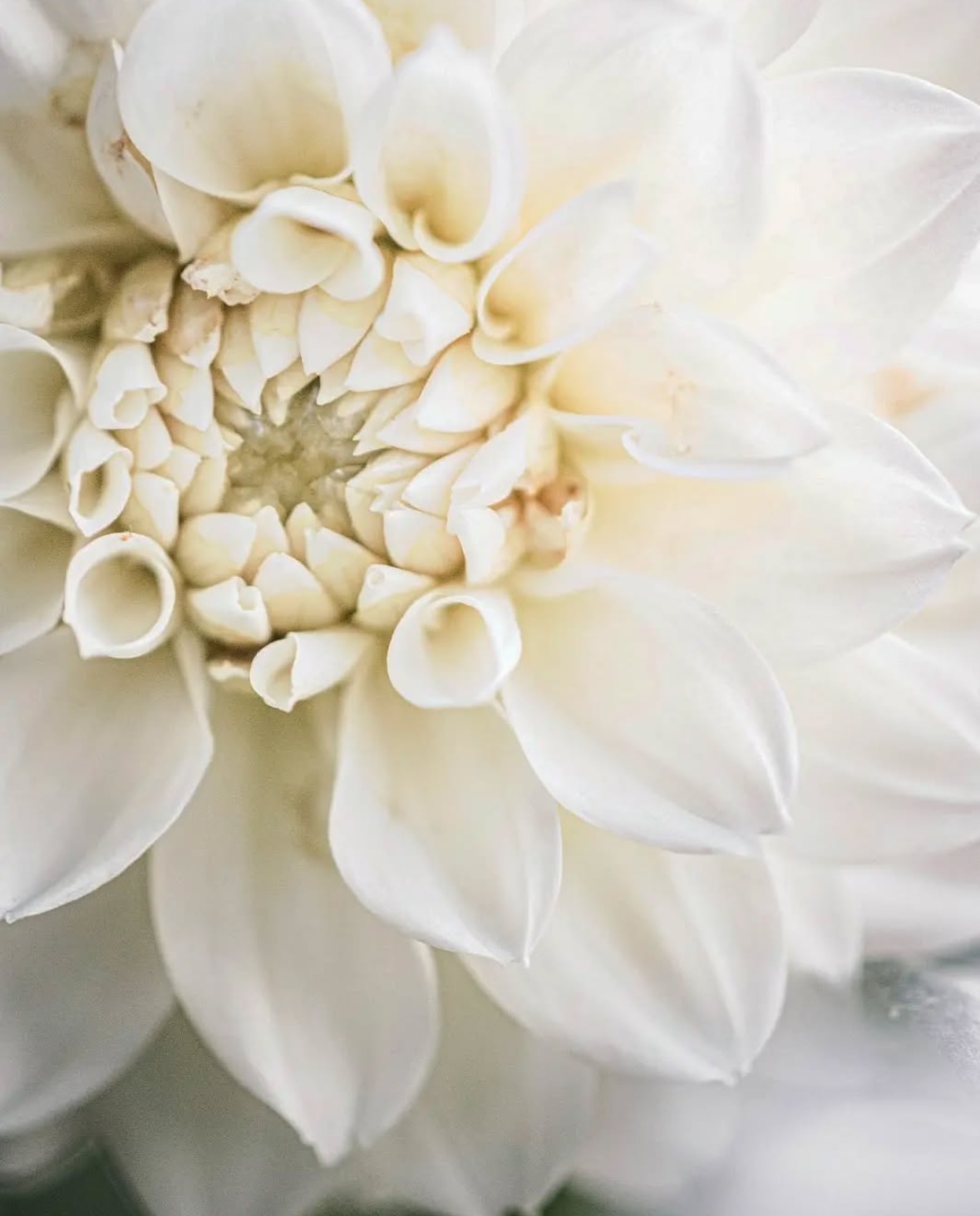 25 Beautiful Bouquets - The Best Flowers for Easter - The Slowestuff Blog