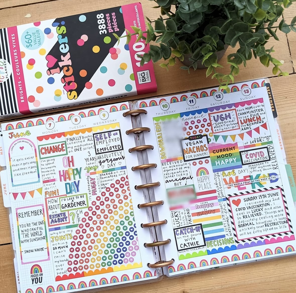 How to Celebrate Pride Month: Support, Celebrate, & Speak Up - The ...