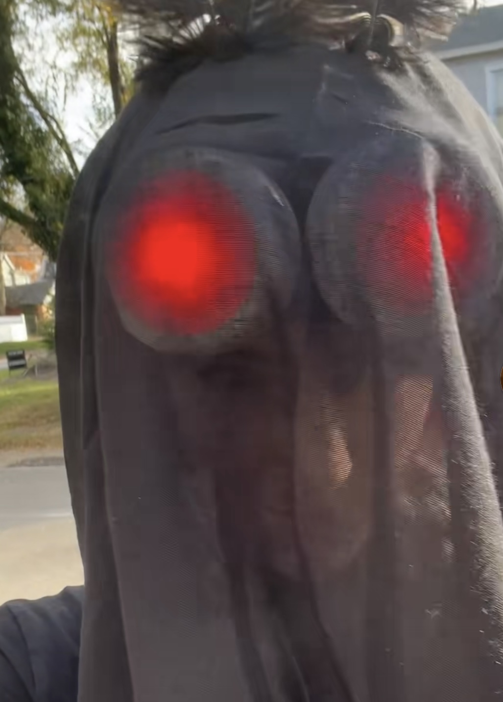 Viral TikTok DIY Mothman Costume: How To Make Your Own - The Slowestuff ...