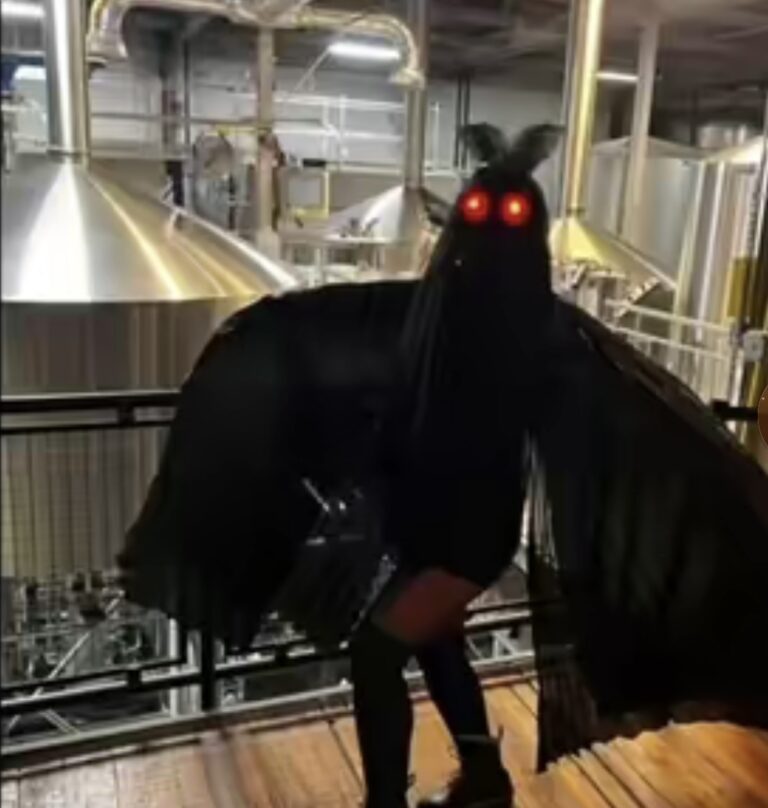 Viral TikTok DIY Mothman Costume: How To Make Your Own - The Slowestuff ...