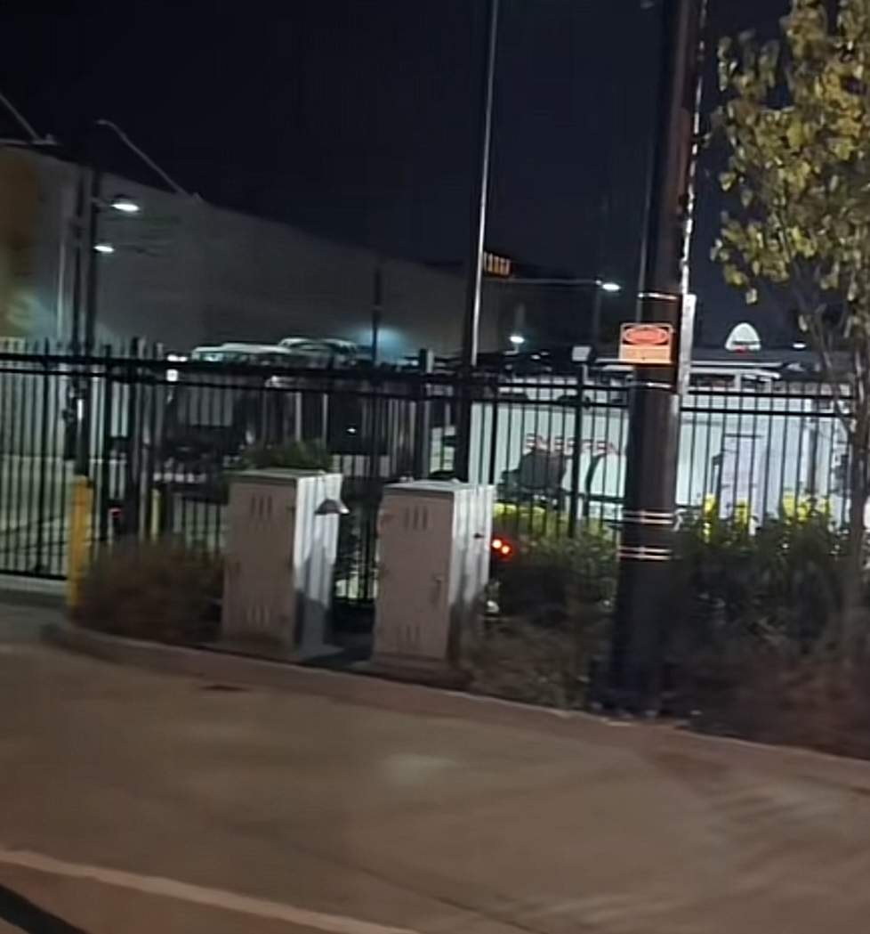 Viral TikTok DIY Mothman Costume: How To Make Your Own - The Slowestuff ...